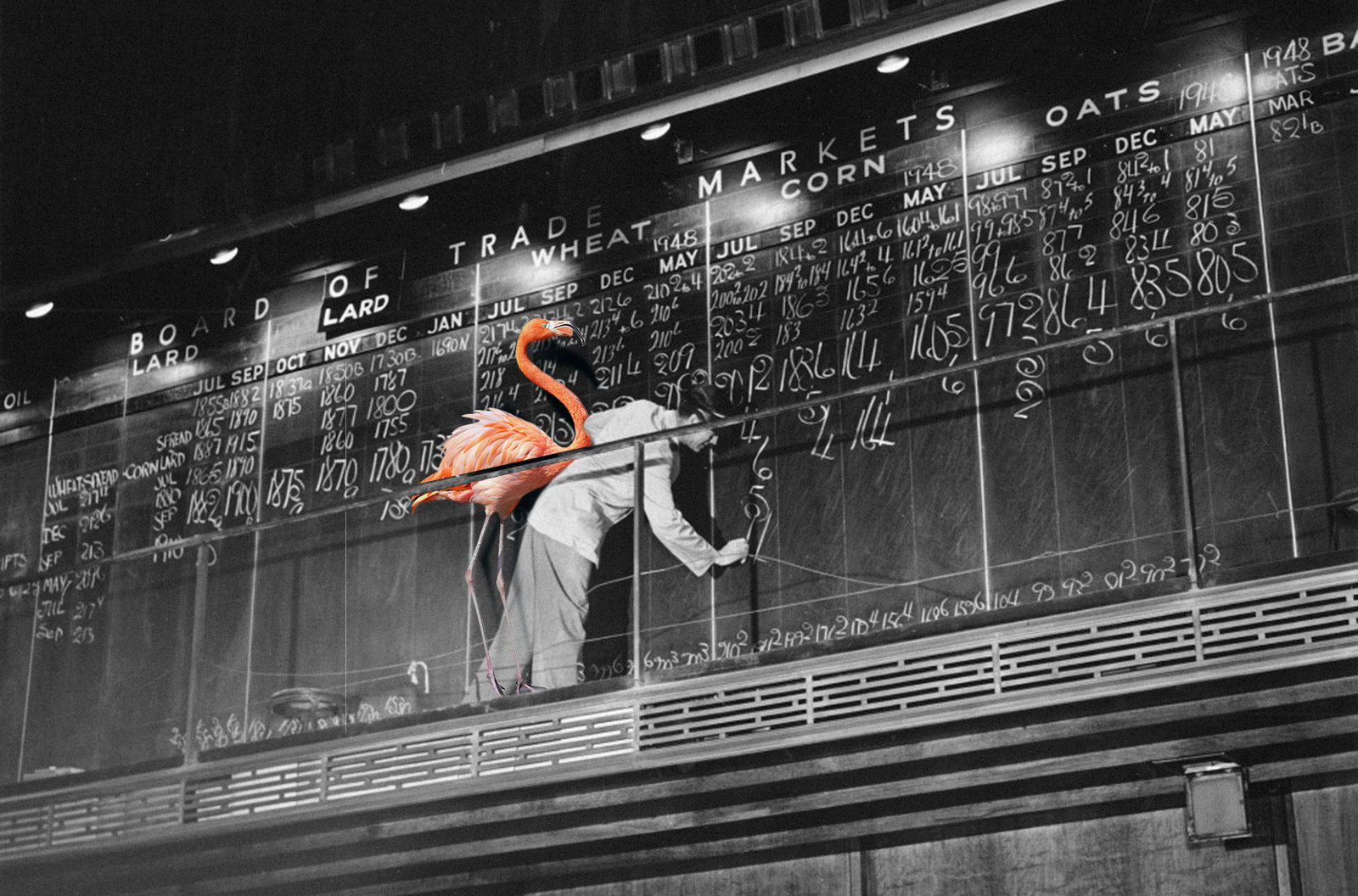 Capabilities | MPB Commodities